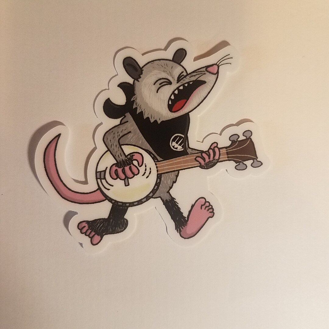 Folk Punk Possum Sticker - Etsy