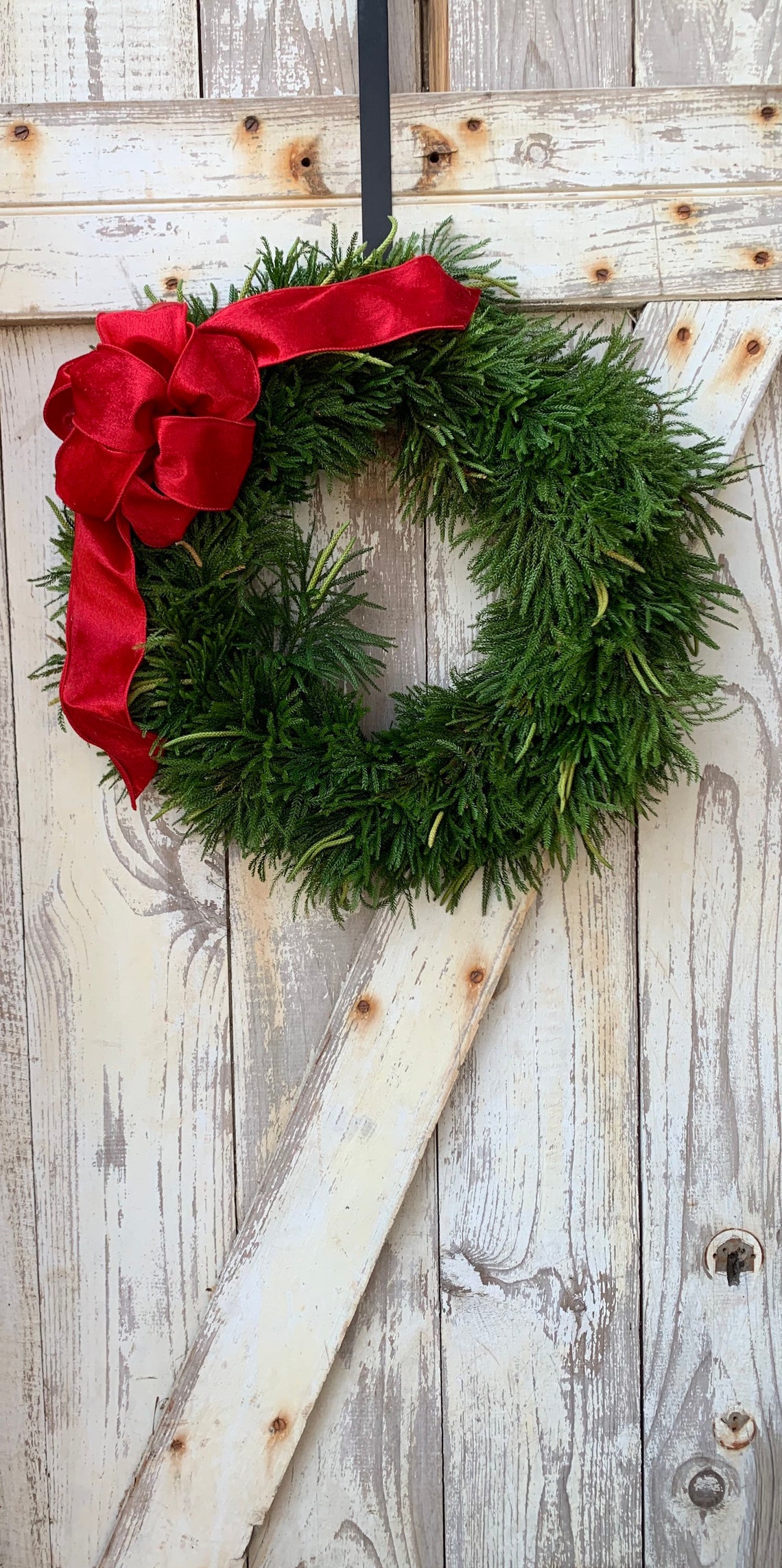24 Inch Princess Pine Wreath for Front Door real Princess Pine live - Etsy