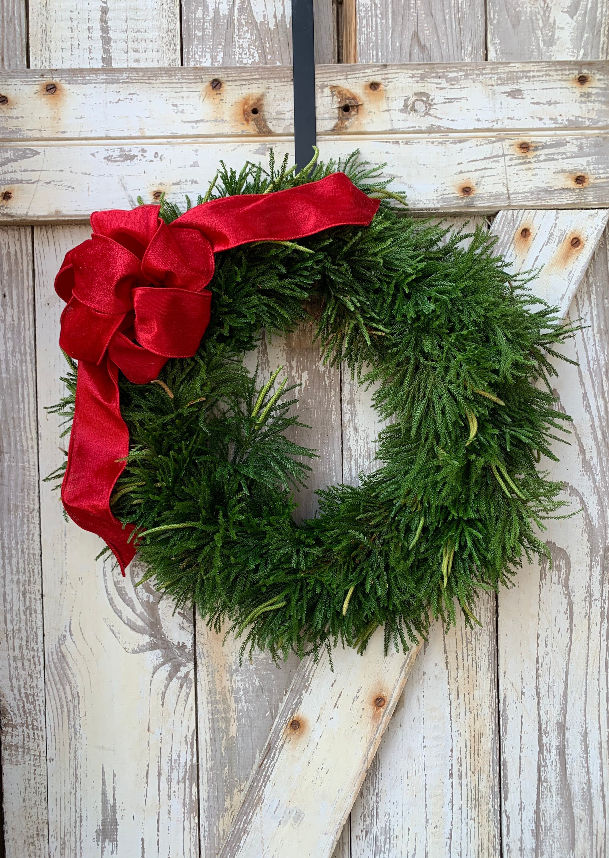 24 Inch Princess Pine Wreath for Front Door real Princess Pine live - Etsy