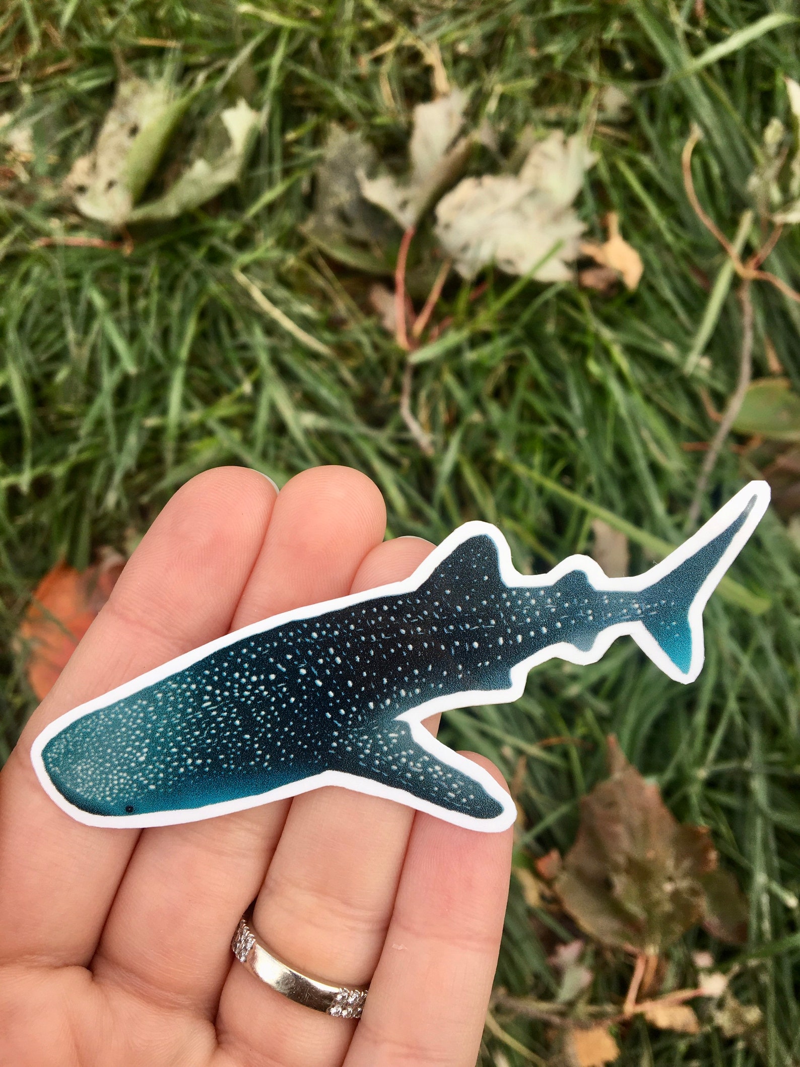 Whale Shark Vinyl Sticker Waterproof Ocean Animal Sea - Etsy