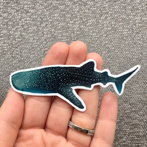 Whale Shark Sticker / Ocean Sticker / Animal Sticker / Sea - Etsy