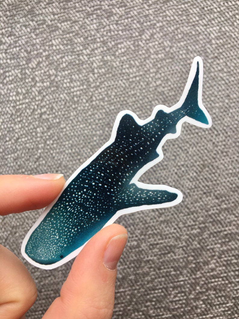 Whale Shark Vinyl Sticker Waterproof Ocean Animal Sea - Etsy