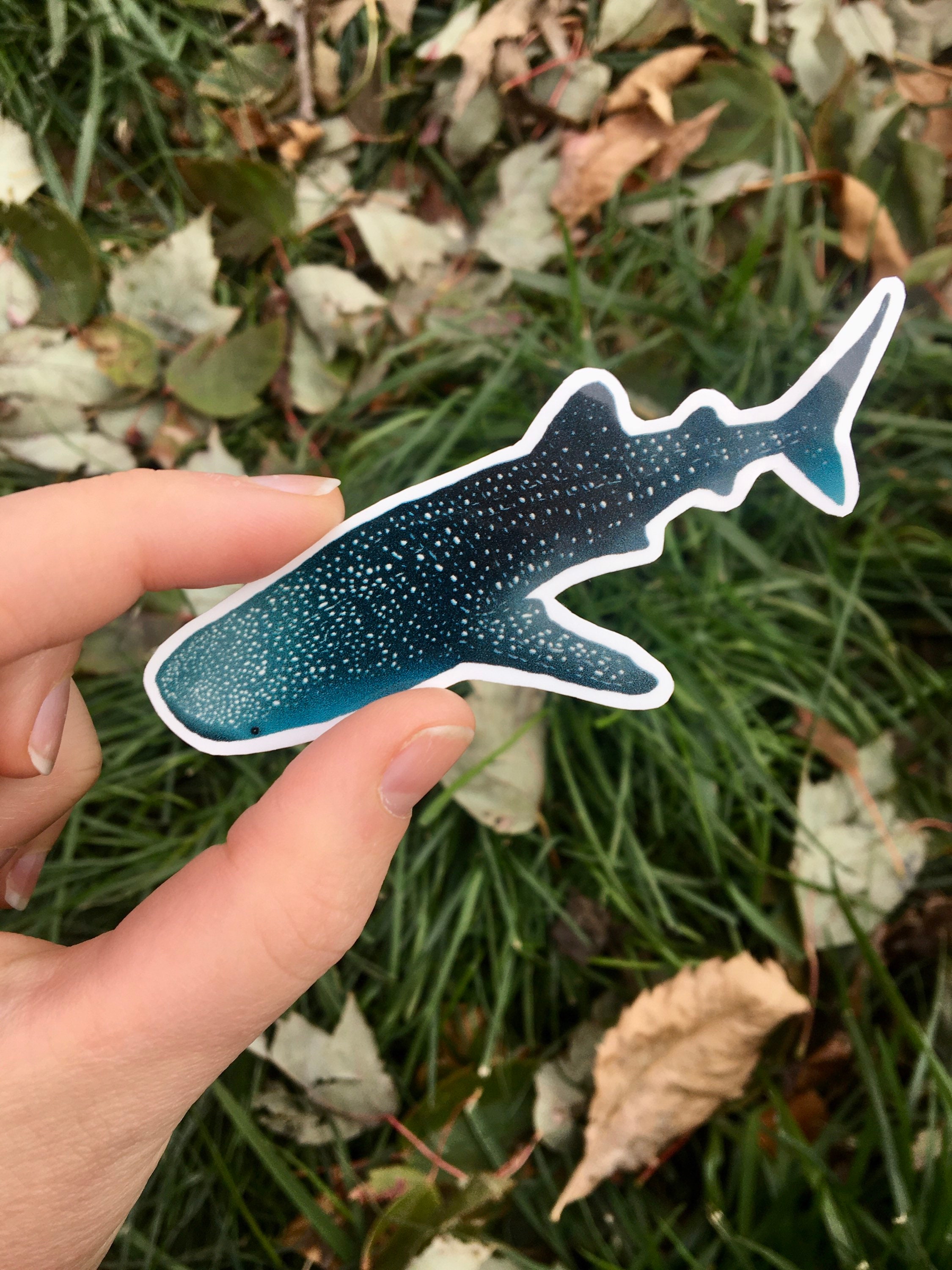Whale Shark Vinyl Sticker Waterproof Ocean Animal Sea - Etsy