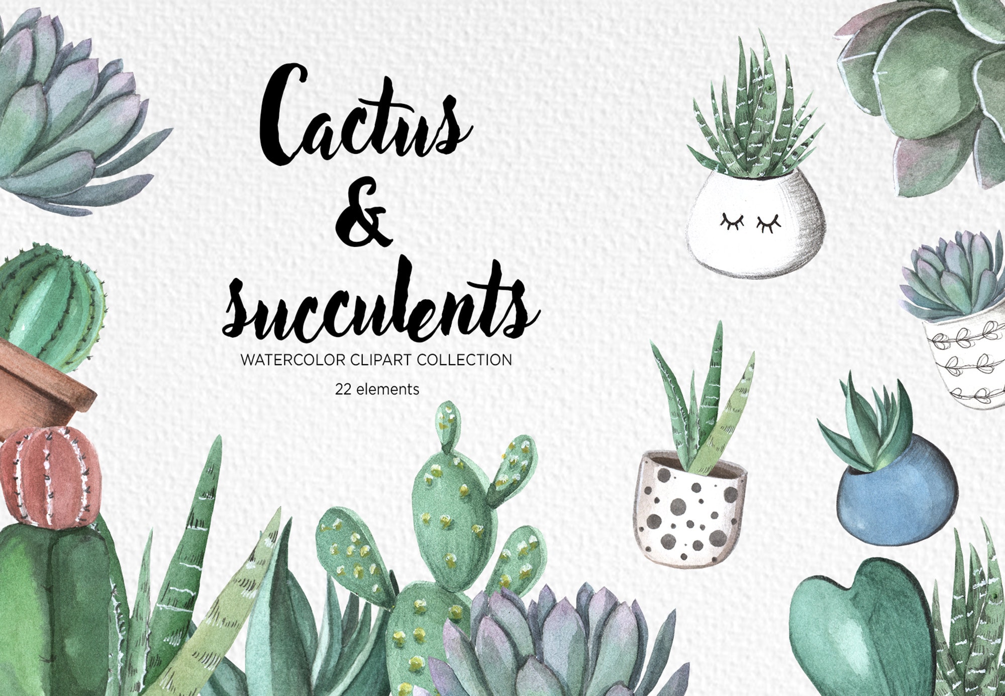 Cactus and Succulents Watercolor Clipart | Hand Painted Plants With ...