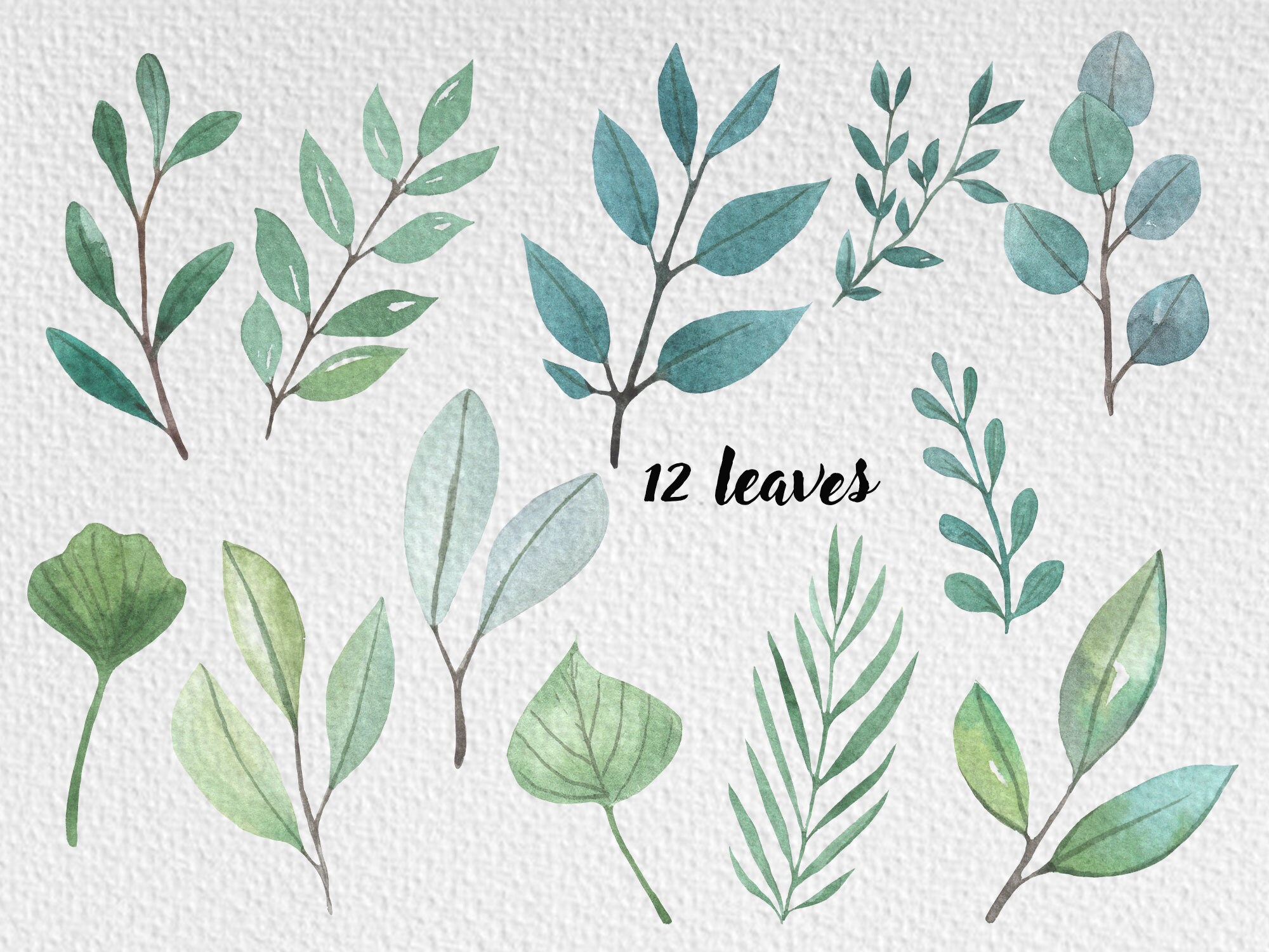 Watercolor Greenery Flowers Clipart | Watercolor Foliage Green Leaves ...
