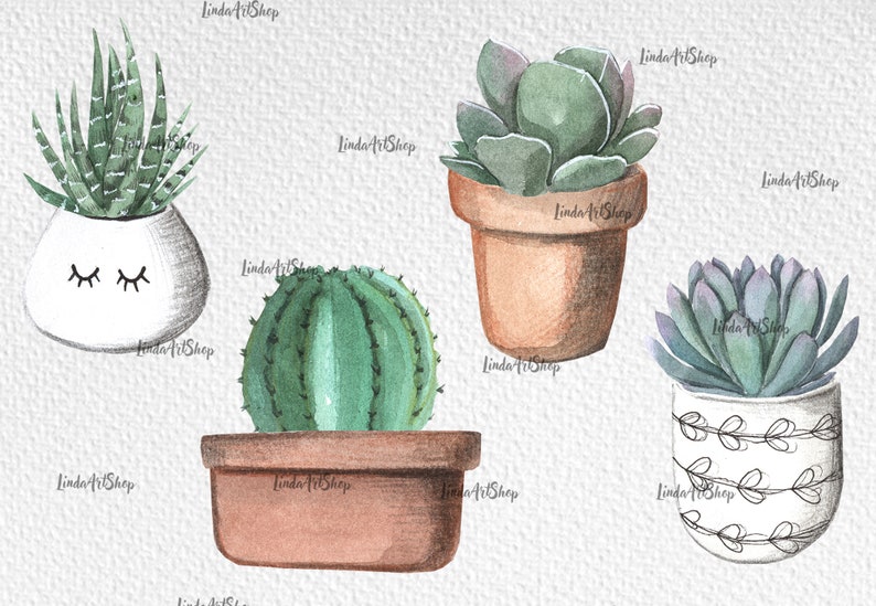 Cactus and Succulents Watercolor Clipart | Hand Painted Plants With ...