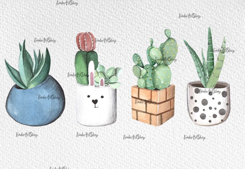 Cactus and Succulents Watercolor Clipart | Hand Painted Plants With ...