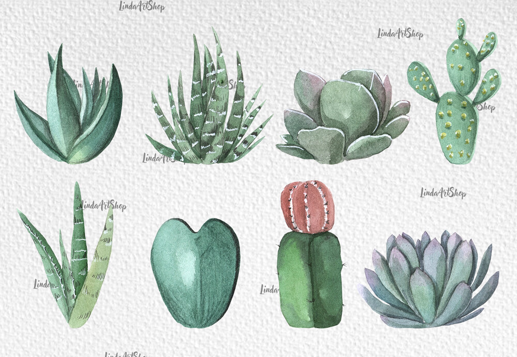 Cactus and Succulents Watercolor Clipart | Hand Painted Plants With ...