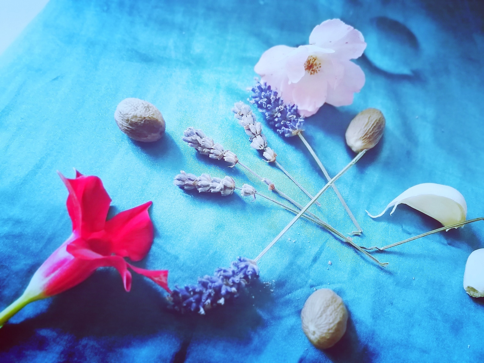 Silent Night Spell Spray: Silences Noisy Neighbours, Flatmates ...