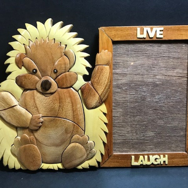 Framed Hedgehog Art - Etsy