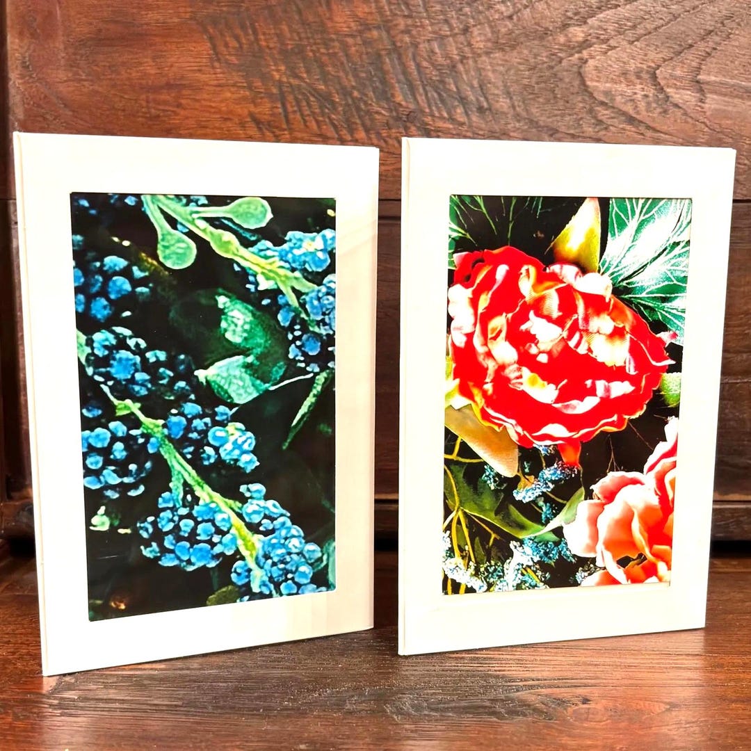 STUNNING flower Photo Art Blank Notecards, Set of 12 With Envelopes ...