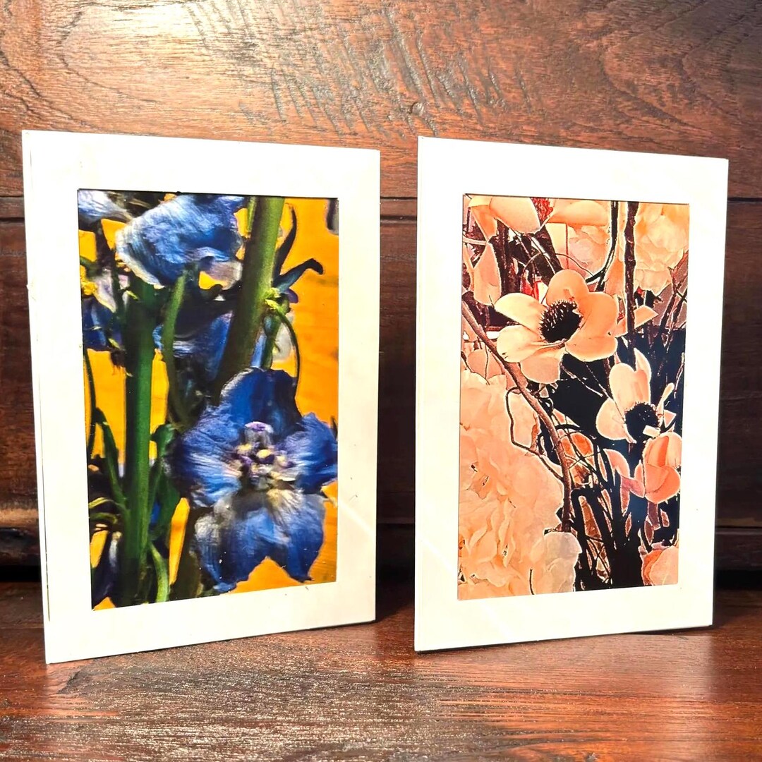 PICTURE TURNED PAINTING Set of 12 flower Photo Art Blank Notecards With ...