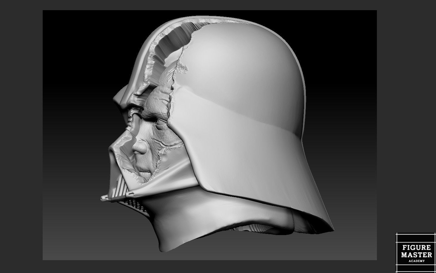 DARTH VADER Anakin Damaged Helmet Custom Head for Figure 3d Print Stl ...