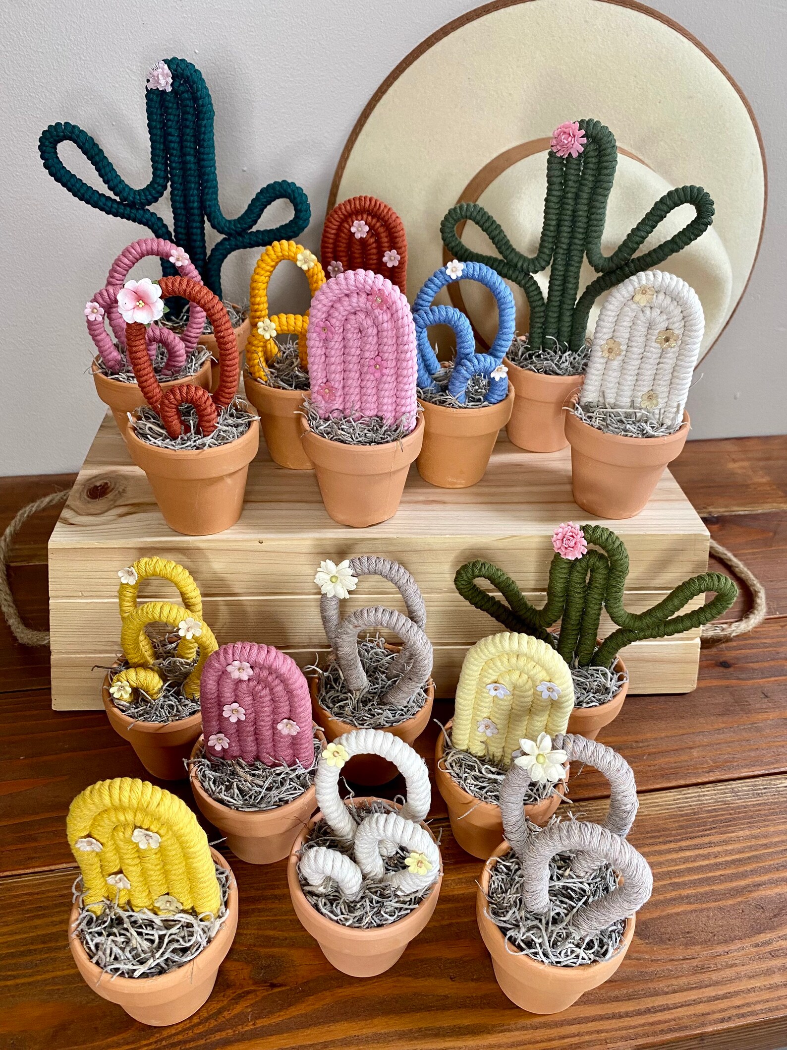Macrame Cactus Macrame Cacti Macrame Succulent Cactus | Etsy