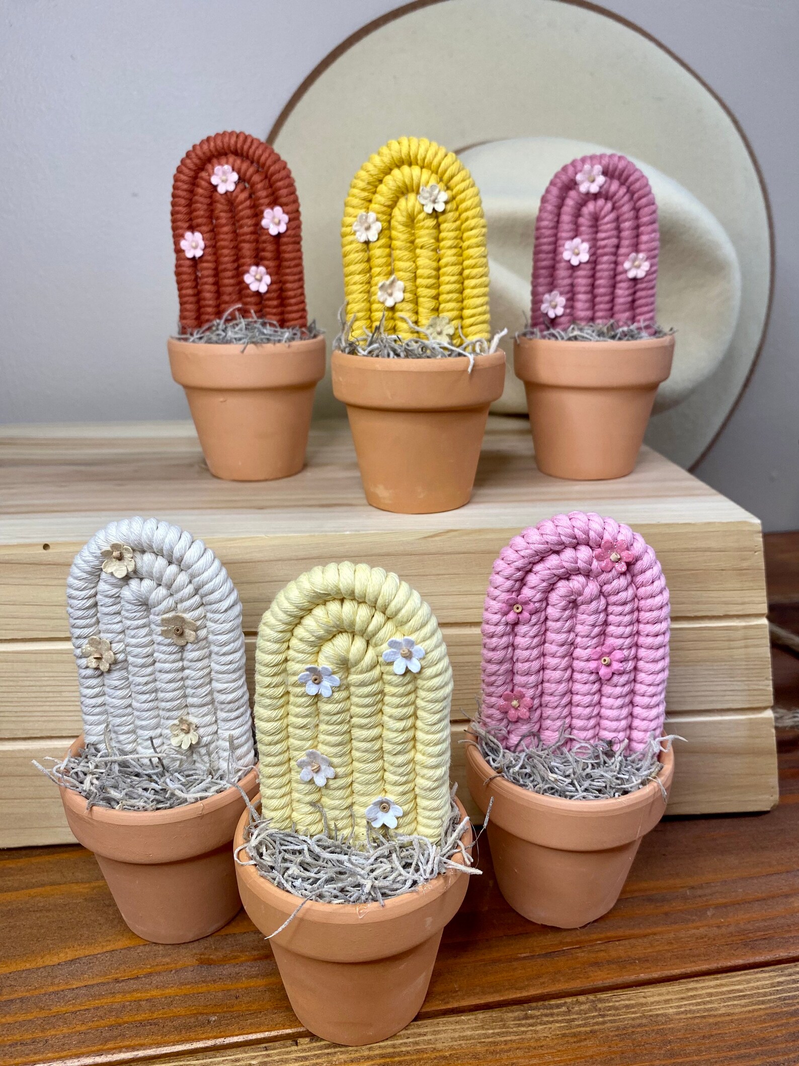 Macrame Cactus Macrame Cacti Macrame Succulent Cactus | Etsy