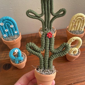 Macrame Cactus, Macrame Cacti, Macrame Succulent, Cactus Decor ...