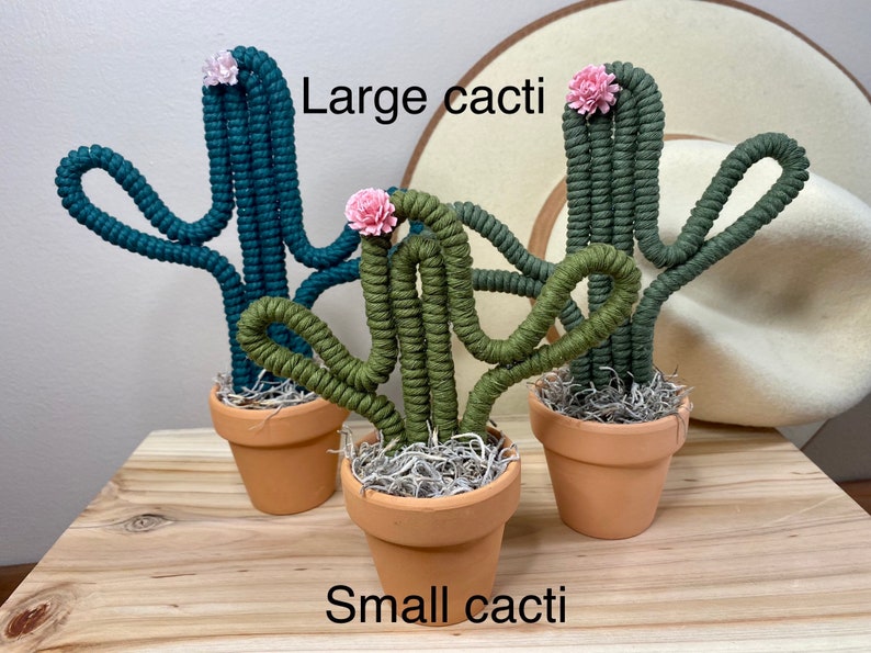 Macrame Cactus Macrame Cacti Macrame Succulent Cactus | Etsy