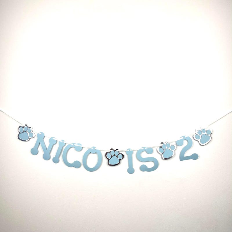 Dog Birthday Hat and Banner - Etsy UK