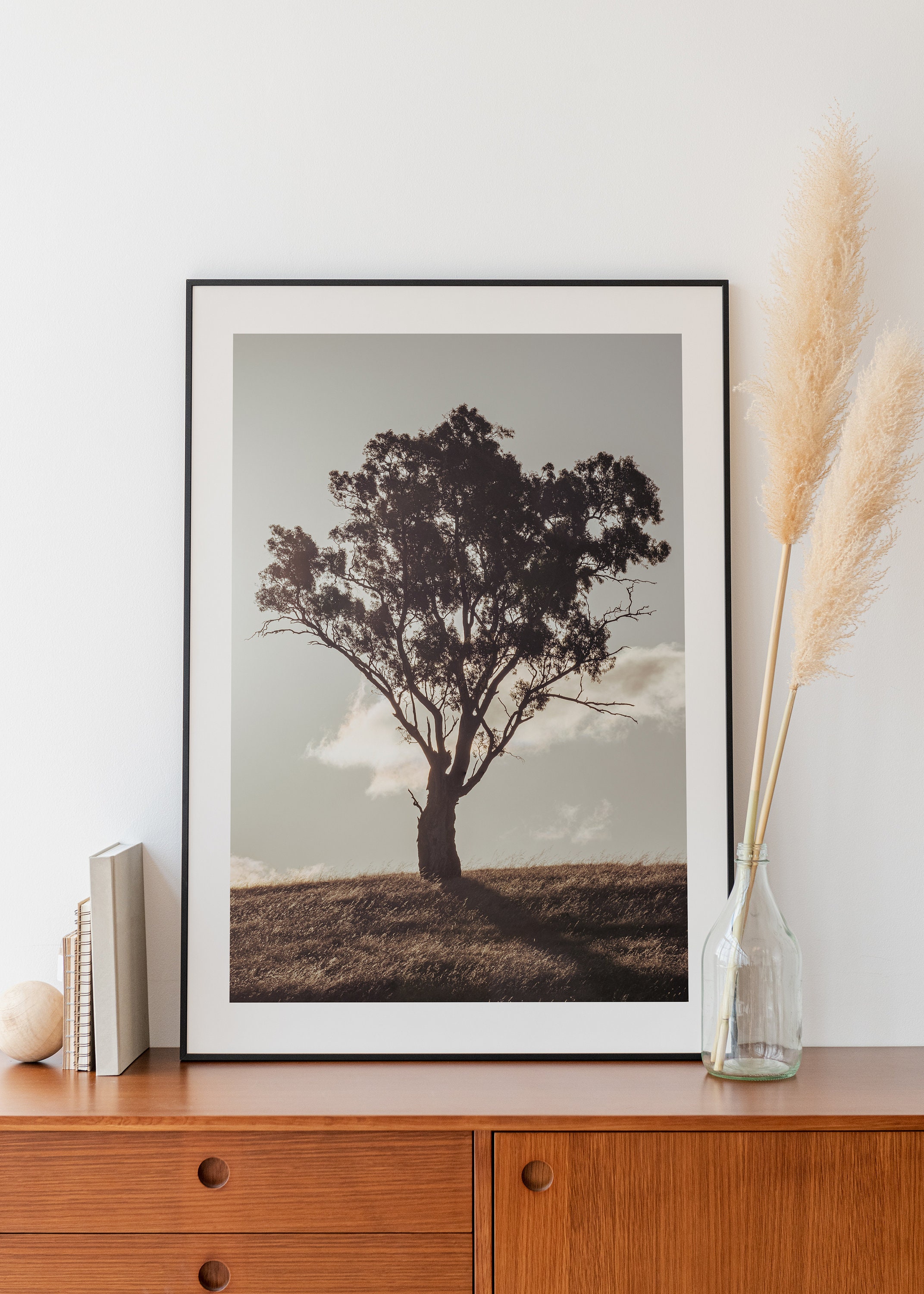 Australian Native Tree Art Print Botanical Decor Nature Photography ...