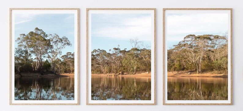Set of 3 Australian Outback Bush Unframed Prints Botanic Art Farmhouse ...
