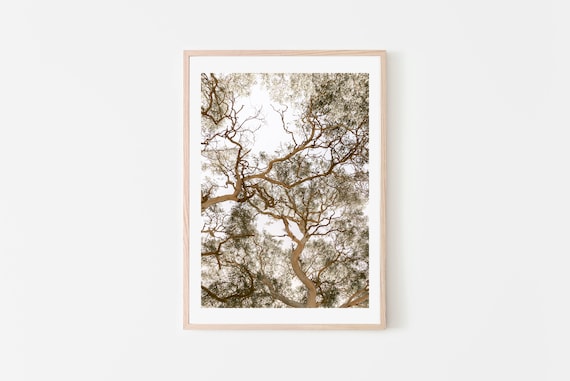 Australian Bush Gumtree Wall Art Botanical Print Nature - Etsy Australia