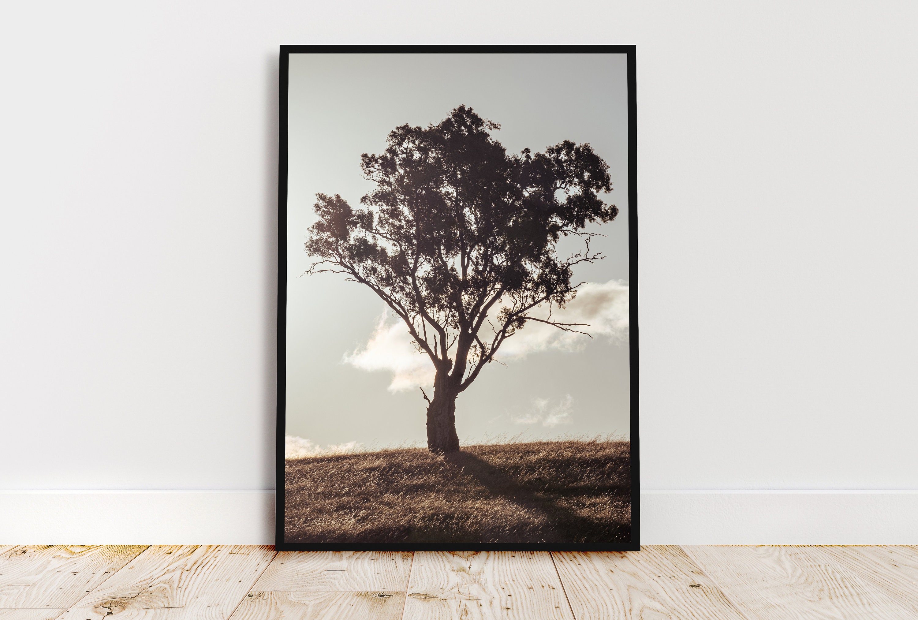 Australian Native Tree Art Print Botanical Decor Nature Photography ...