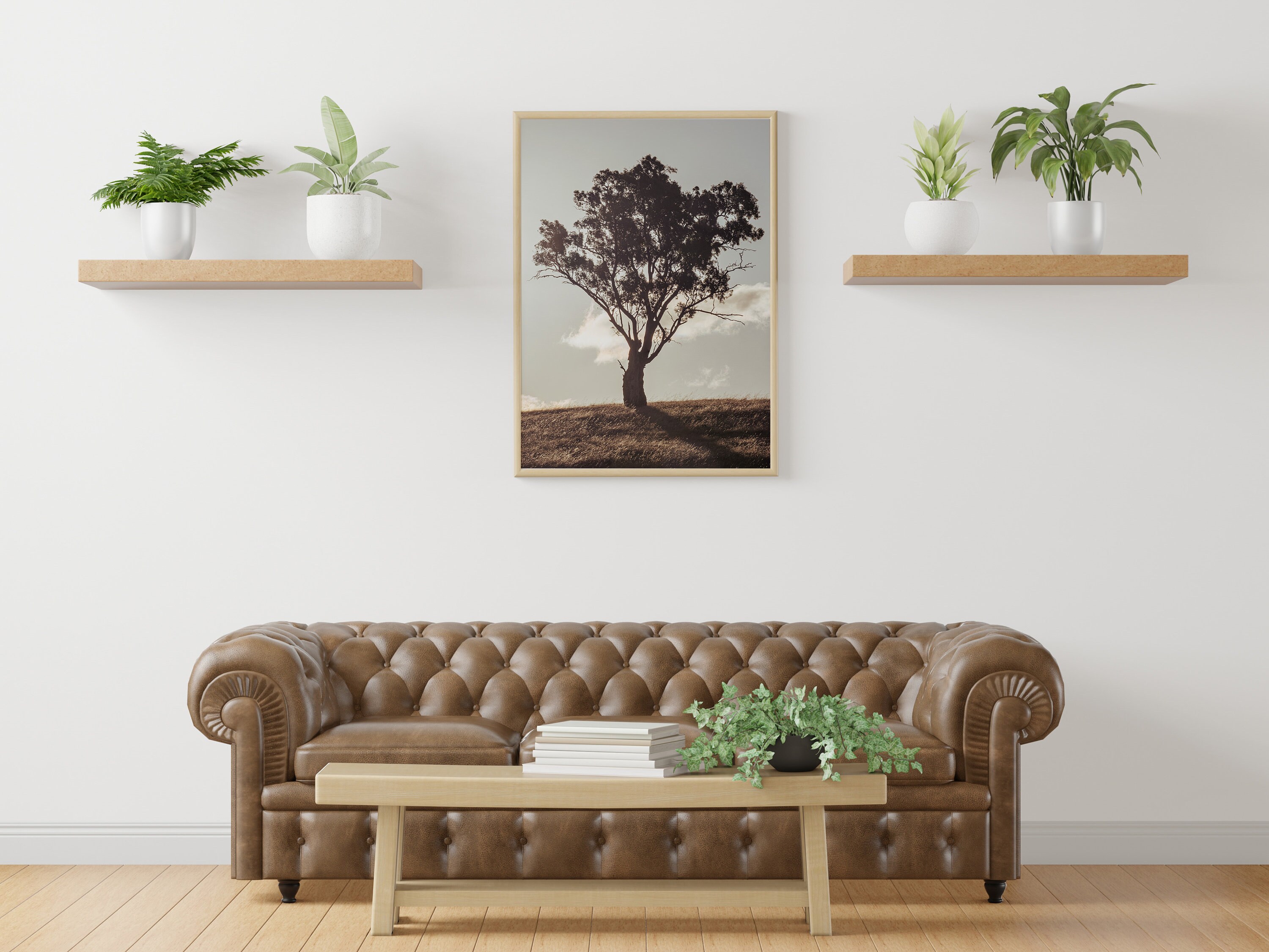 Australian Native Tree Art Print Botanical Decor Nature Photography ...