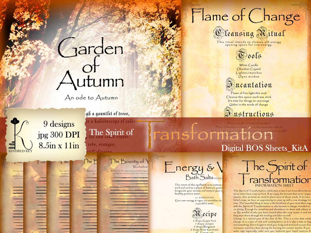 The Spirit of Transformation Book of Shadow Sheets | Spells | Worksheet ...