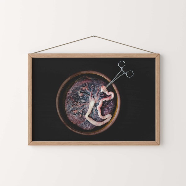 Placenta - Etsy