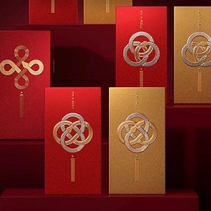 12/18/24 Chinese New Year Red Packet 2025 Year of the Snake Red Pocket ...