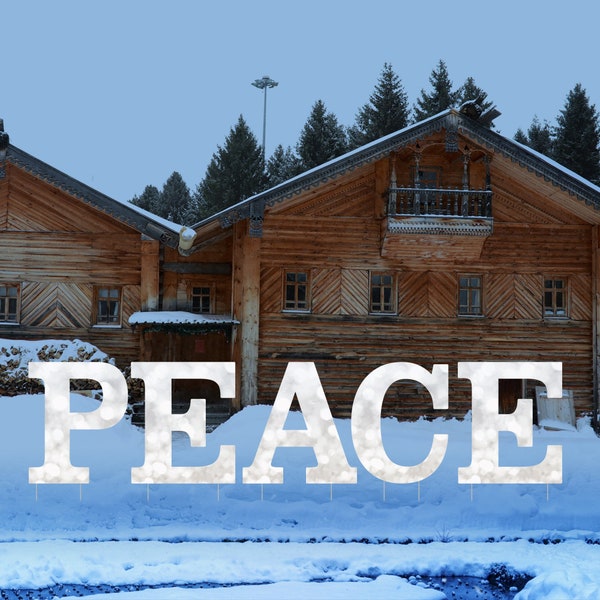 Peace on Earth Lighted Outdoor Sign - Etsy