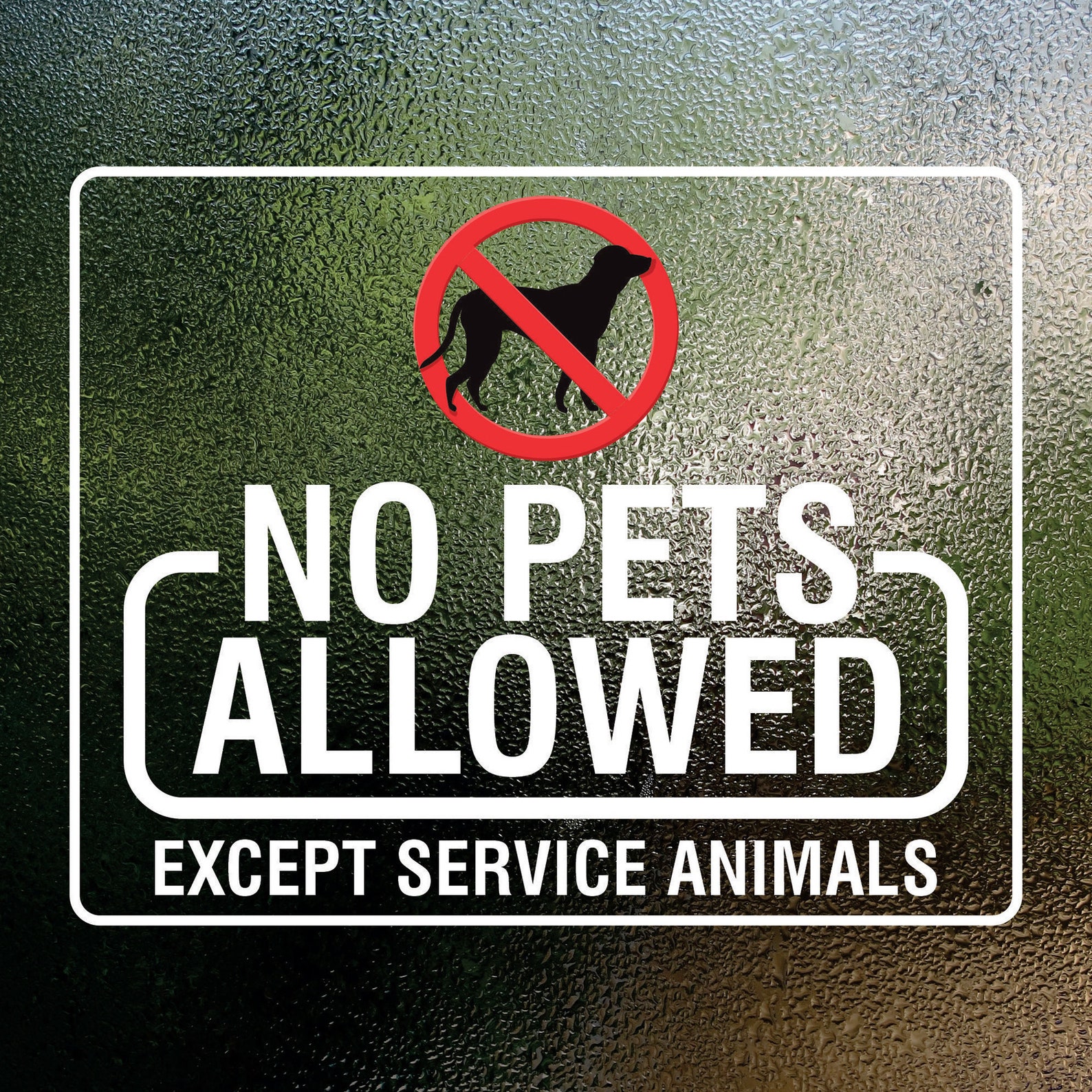 No Pets Allowed Sign Sticker No Pets Allowed Waterproof Decal Adhesive ...