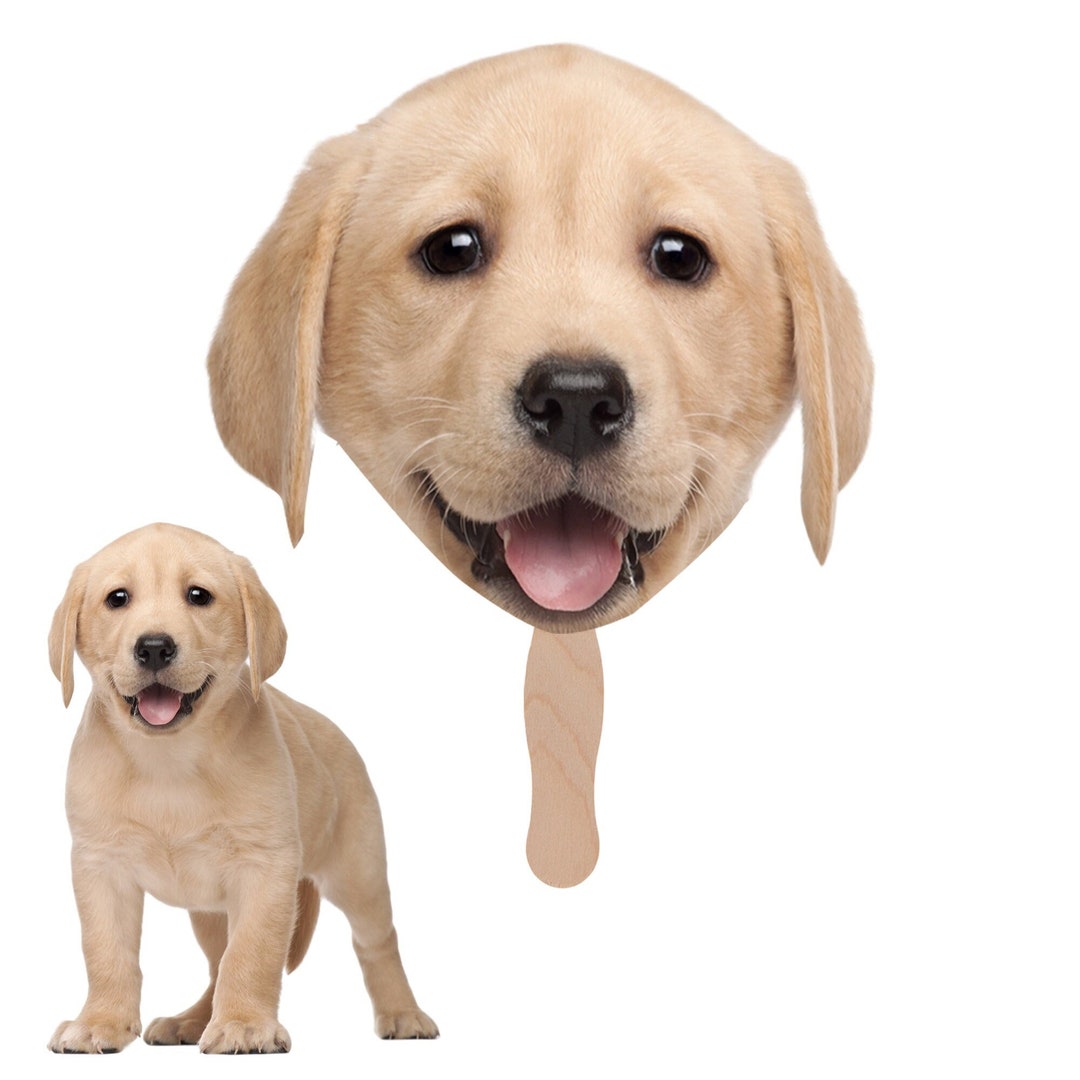 Custom Pet Face Fans With Wooden Handle - Unique and Personalized Gift ...