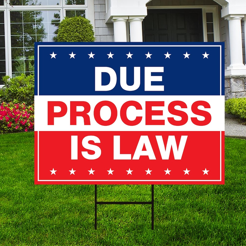 Due Process Protest Signs - Etsy