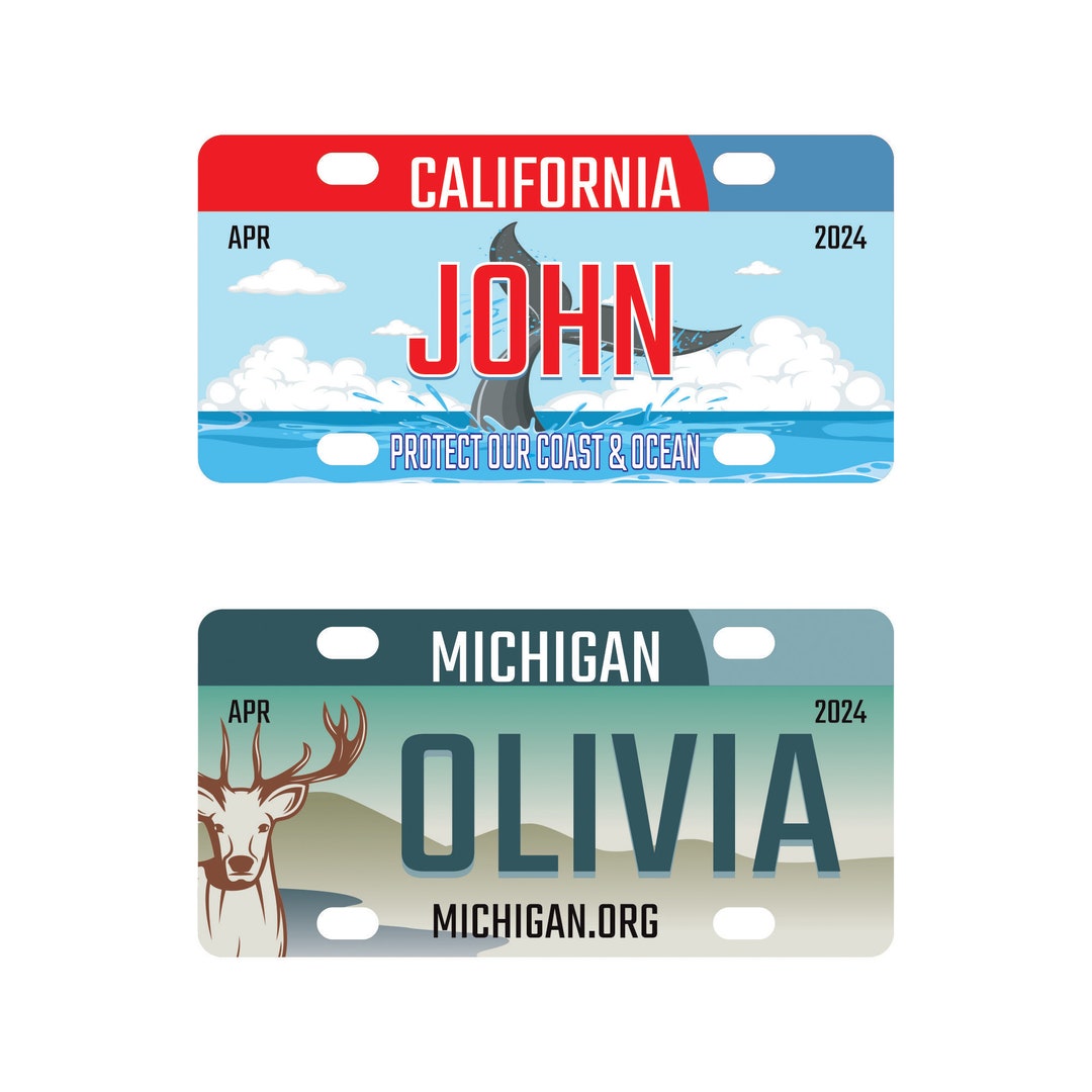 Custom Any US State License Plate, Aluminum Metal 6x12, Personalized ...