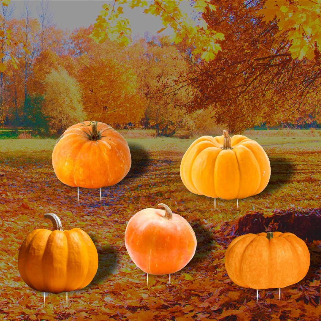 Thanksgiving Yard Sign Decorations Cutouts, Pumpkin Fall Harvest Autumn ...
