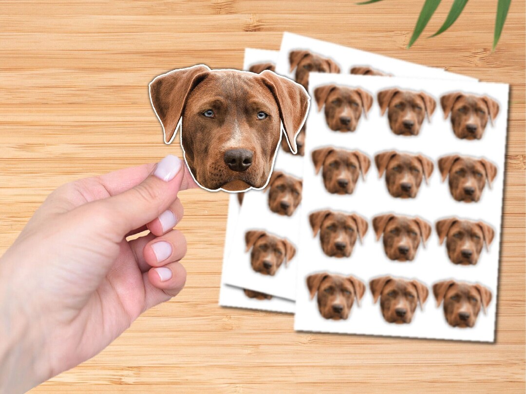 Custom Face Stickers, Personalized Waterproof Decals for Birthdays ...