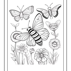 50 Pages Funny Cute Bugs and Insects Coloring Book for Adults Men Women ...