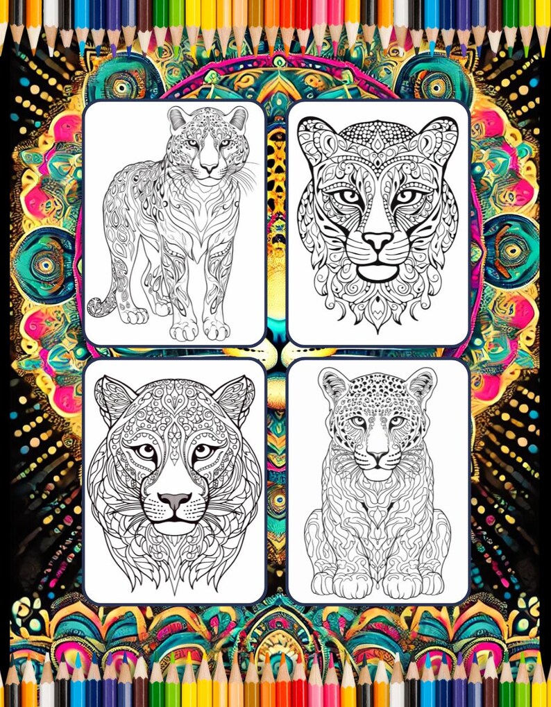 50 Pages Bold and Easy Leopard Animal Mandala Coloring Book Gift for ...