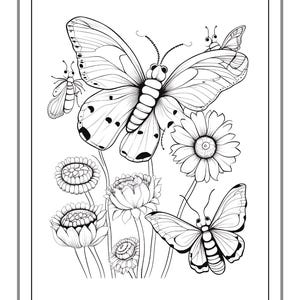 50 Pages Funny Cute Bugs and Insects Coloring Book for Adults Men Women ...