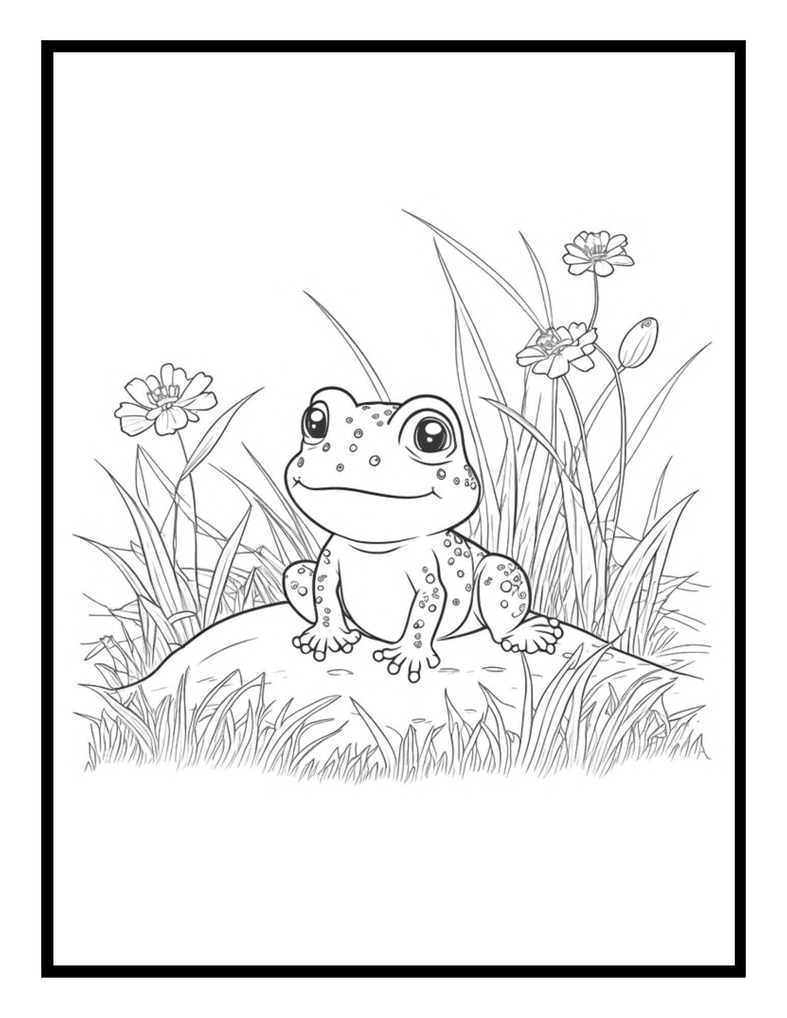 Cute Toad Coloring Book Frog Coloring Book for Adult and Kids Animal ...