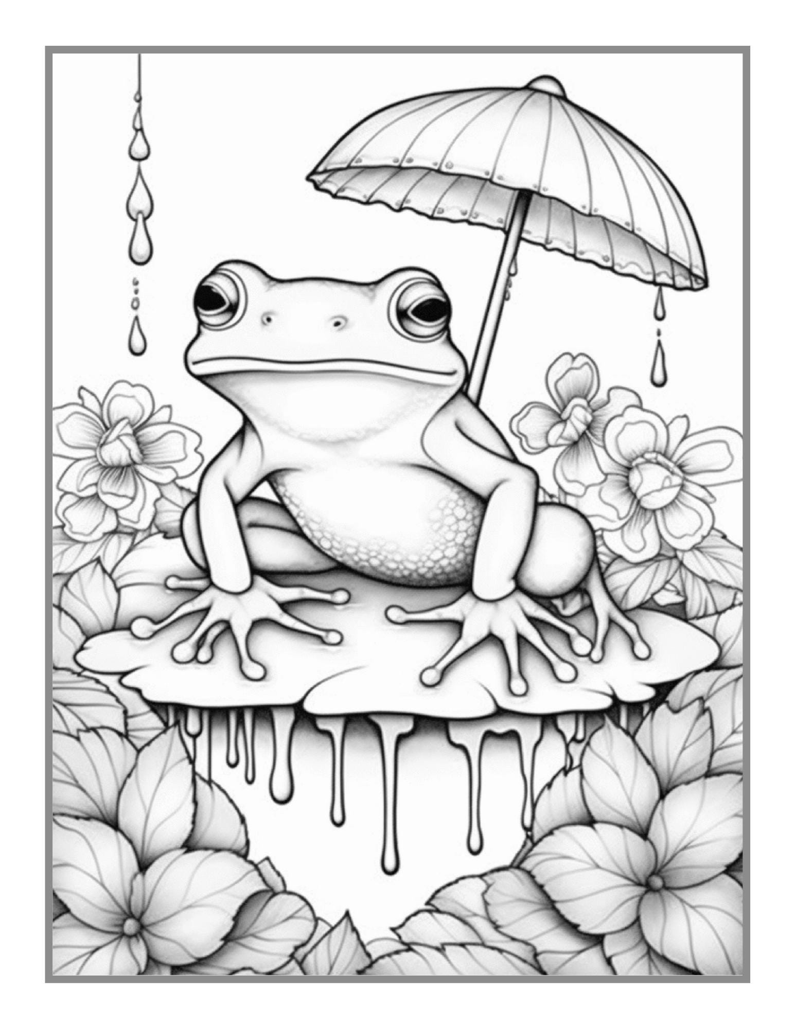 Cute Frog Toad Coloring Book Gift for Adults Kids Men Women Boys Girls ...