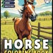 50 Pages Horse Coloring Book Gift for Adults Kids Men Women Kids Boys ...