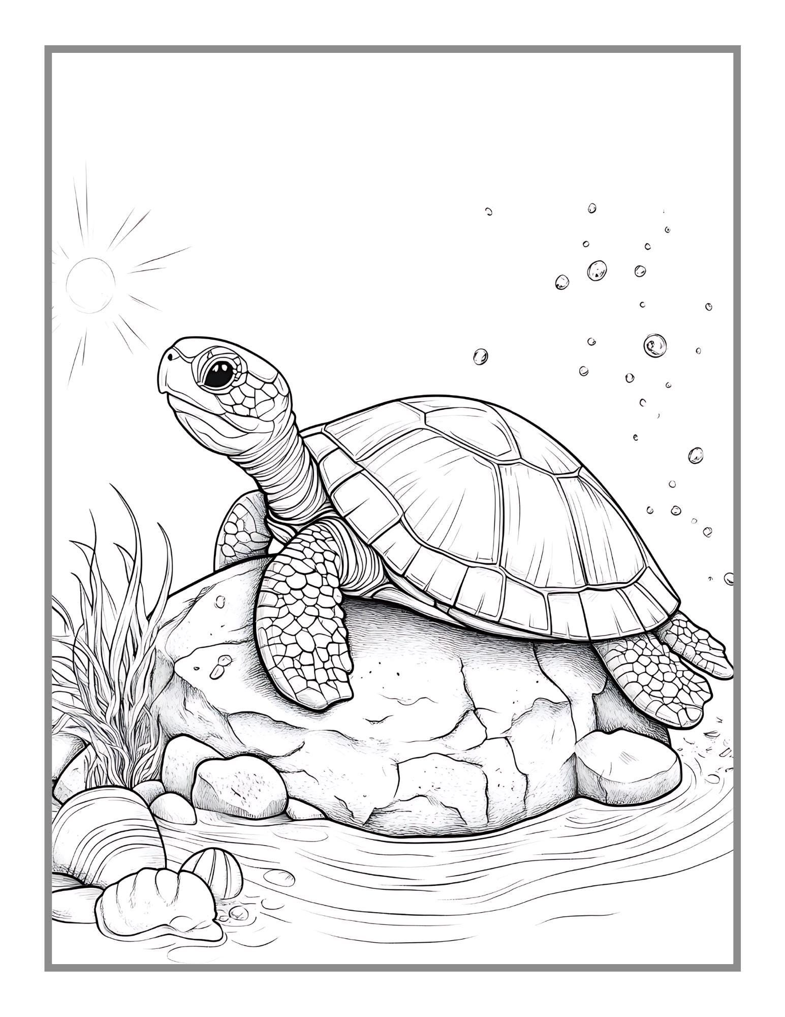 50 Pages Cute Sea Turtle Coloring Book Gift for Adults Kids Men Women ...