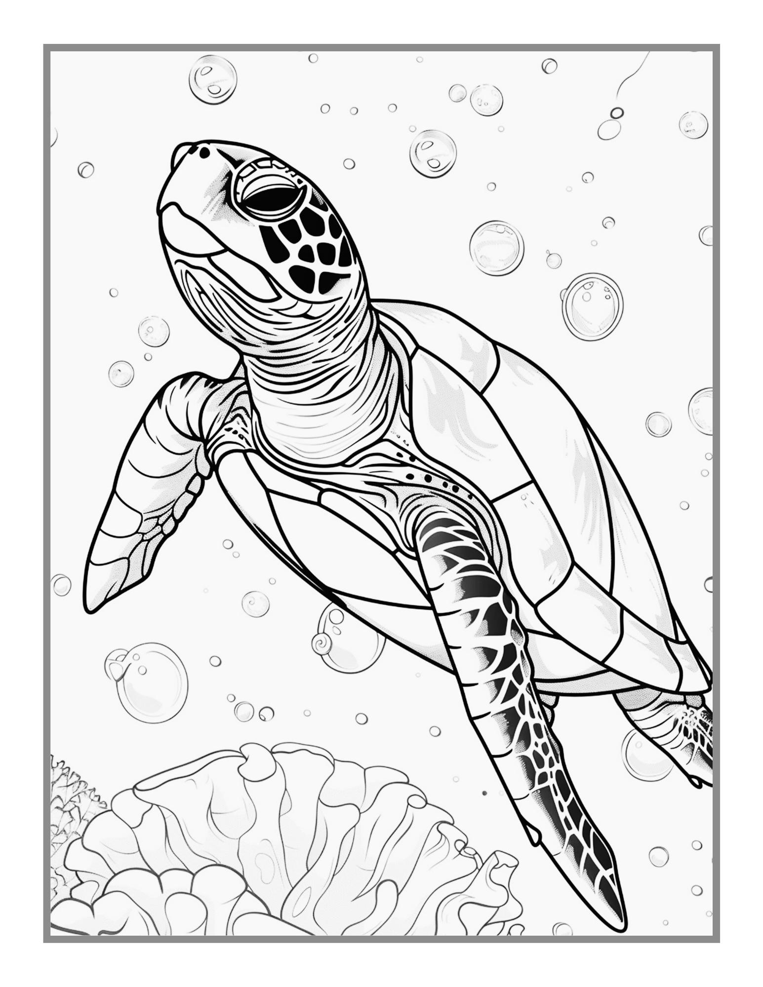 50 Pages Cute Sea Turtle Coloring Book Gift for Adults Kids Men Women ...