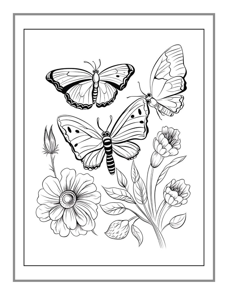 50 Pages Funny Cute Bugs and Insects Coloring Book for Adults Men Women ...