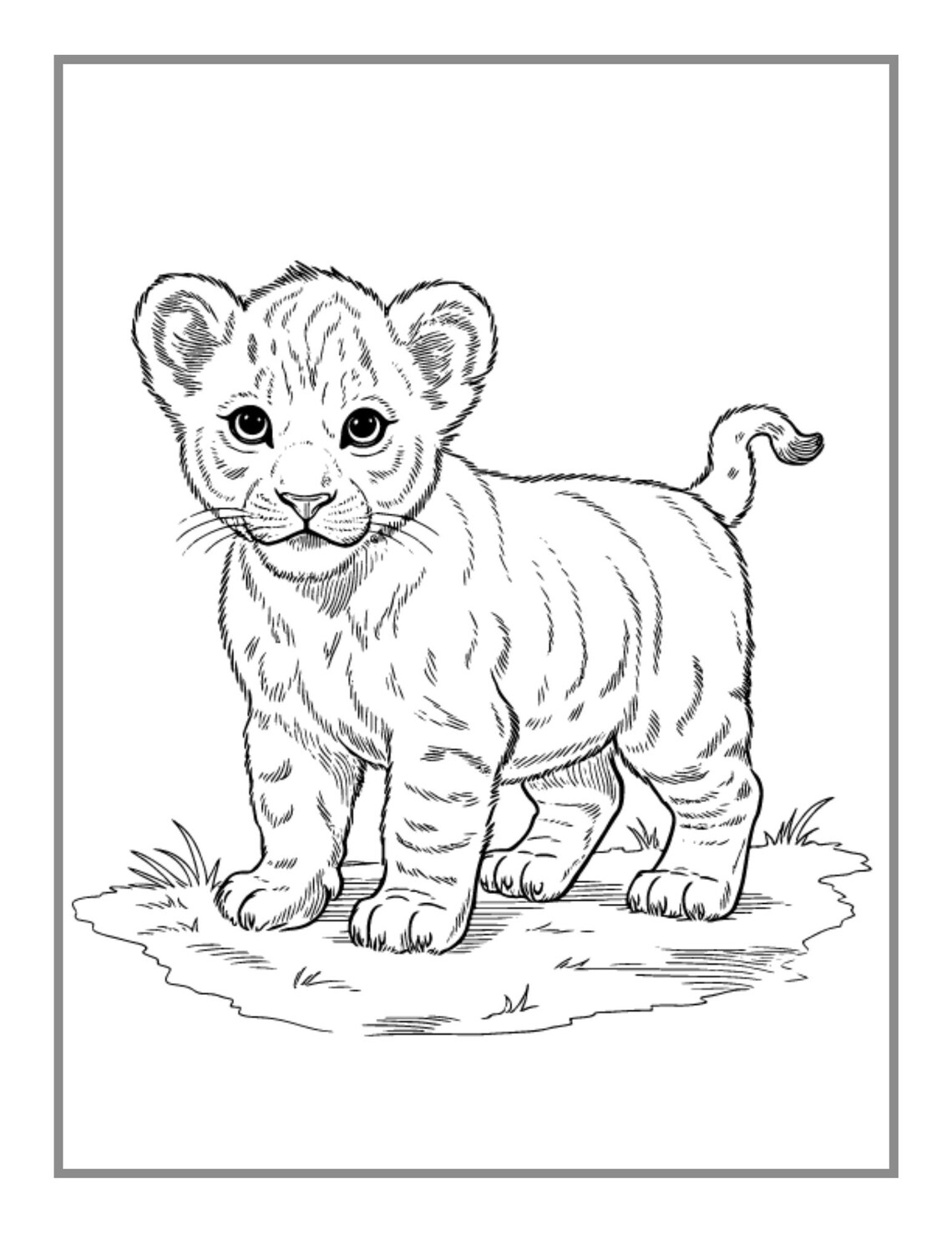 50 Pages Bold and Easy Zoo Animal Coloring Book Gift for Adults Kids ...