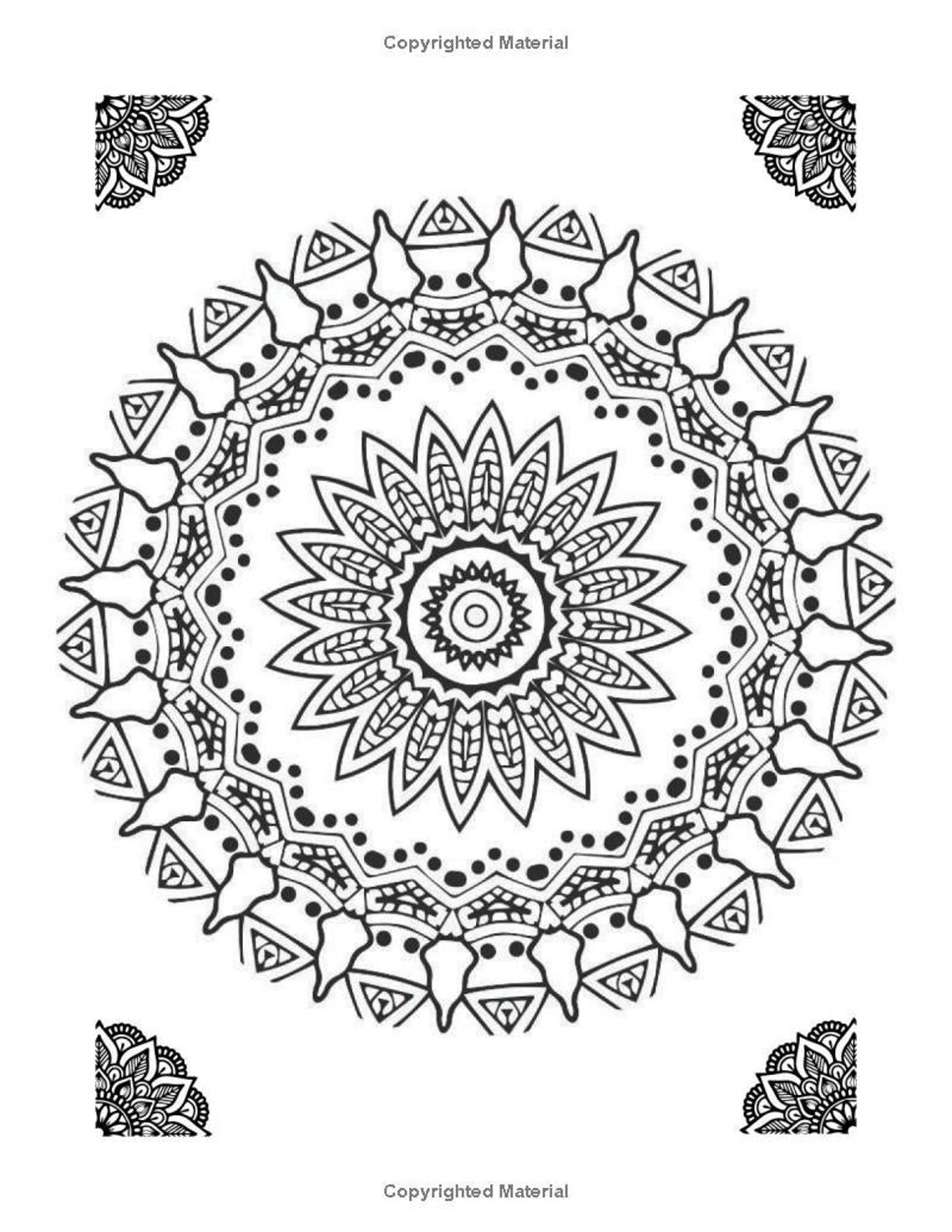 100 Magnificent Mandalas Coloring Book for Adults Coloring Book for ...