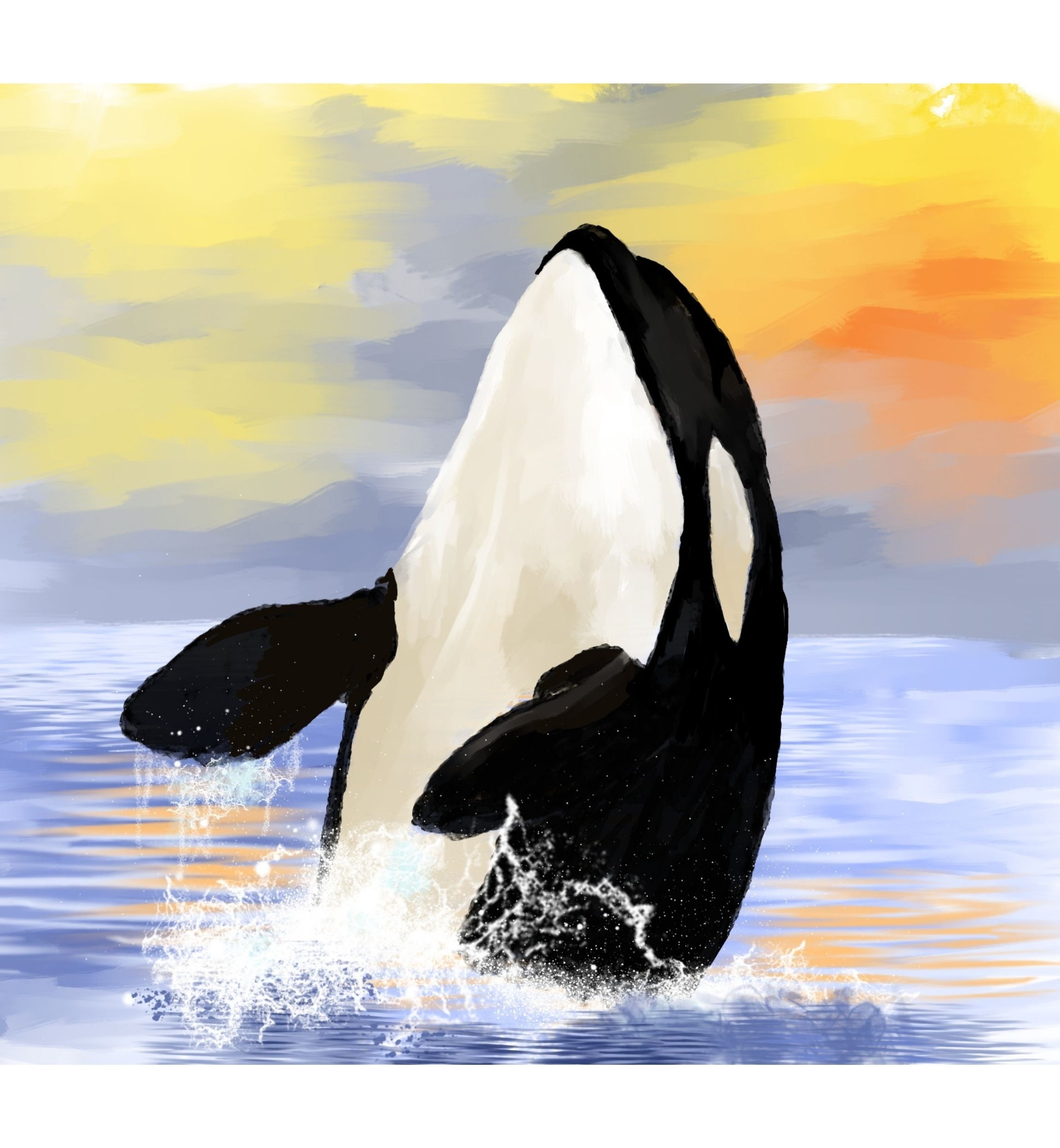 Orca in the Sunset, Digital Download - Etsy