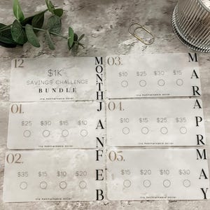12 MONTH Monthly Savings Challenge Bundle Matte Vellum - Etsy